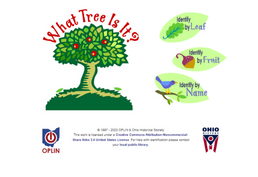 What Tree Is It? | Lima Public Library